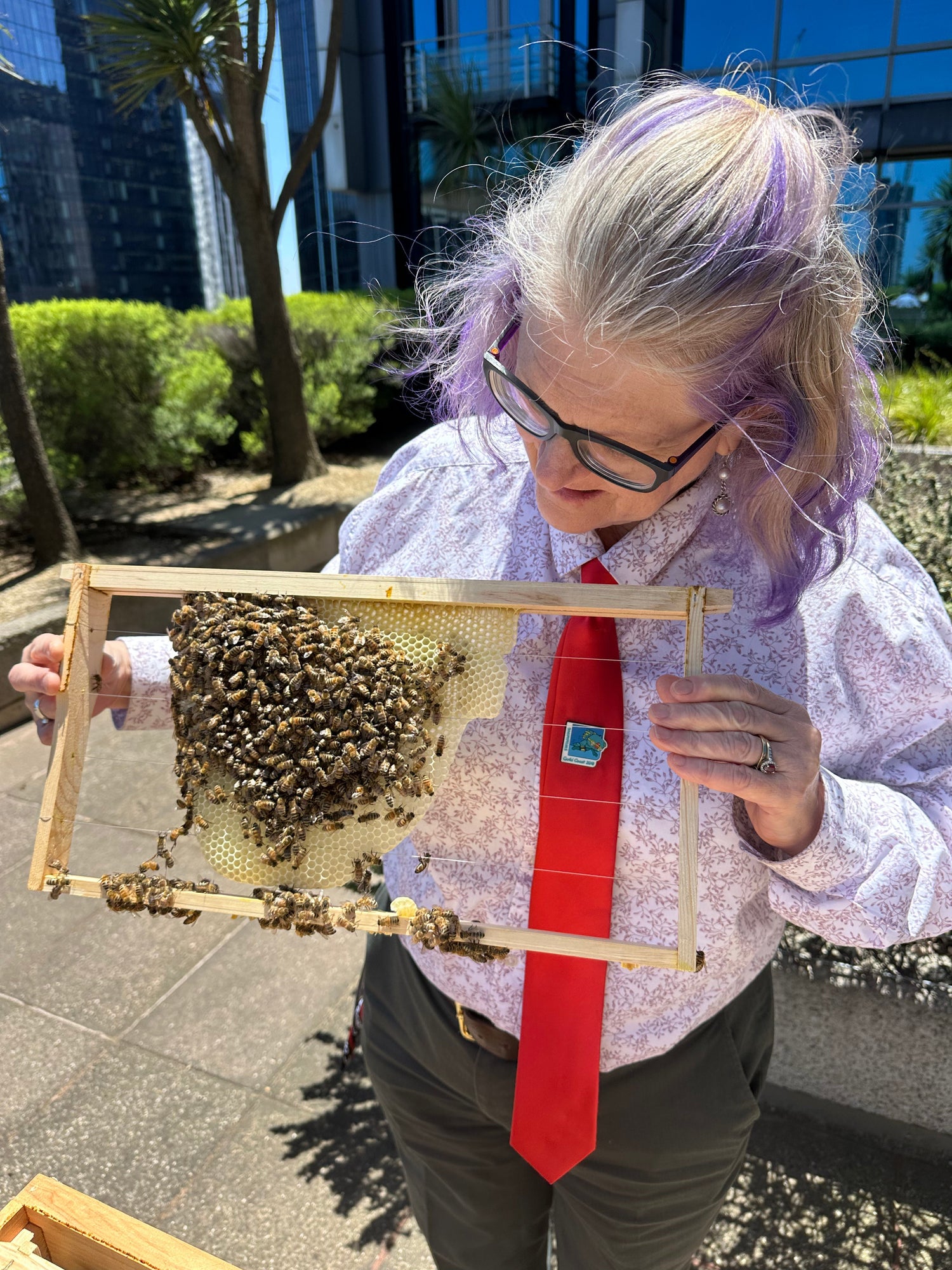World Bee Day: Rooftop Bees & the Urban Pollinator Movement