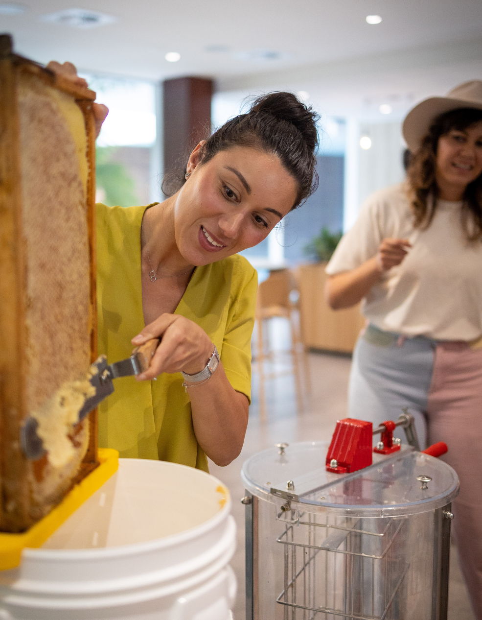 Honey Harvesting Activation – Rooftop Bees