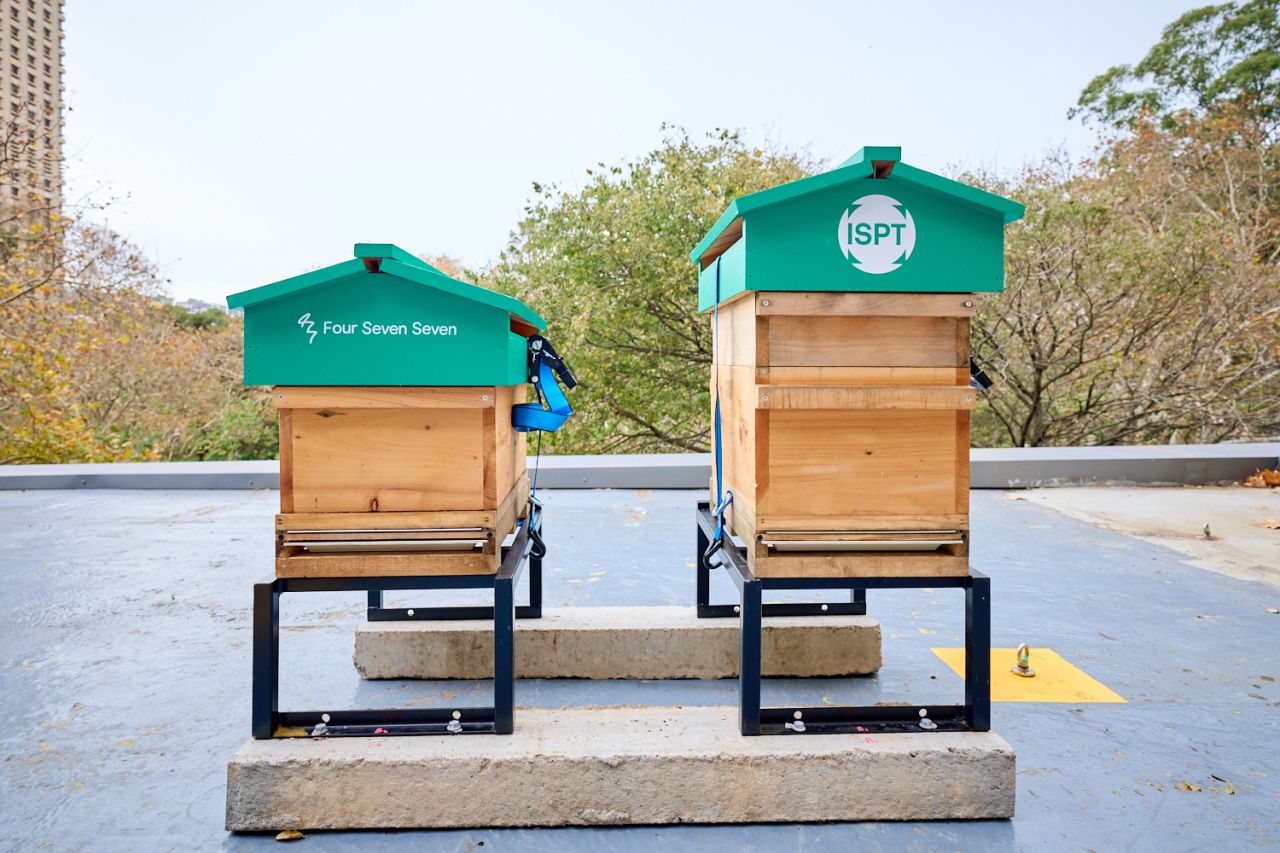 Rooftop Bees | Corporate Beehives