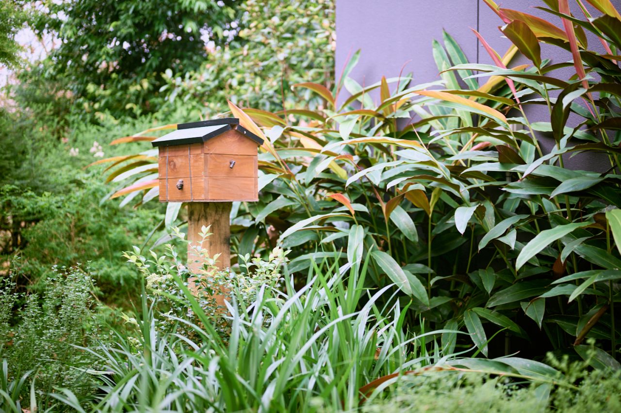 Rooftop Bees | Corporate Beehives